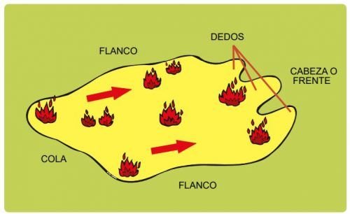 Cuáles son las fases de un incendio forestal